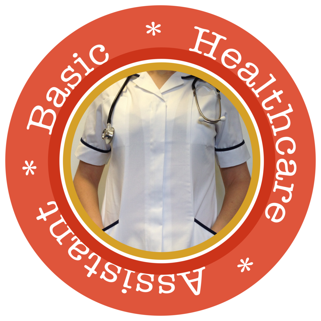 Basic Healthcare Assistant eClass - City Gate Training Centre