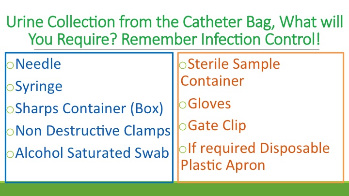 Urine Collection from the Catheter Bag - City Gate Training Centre