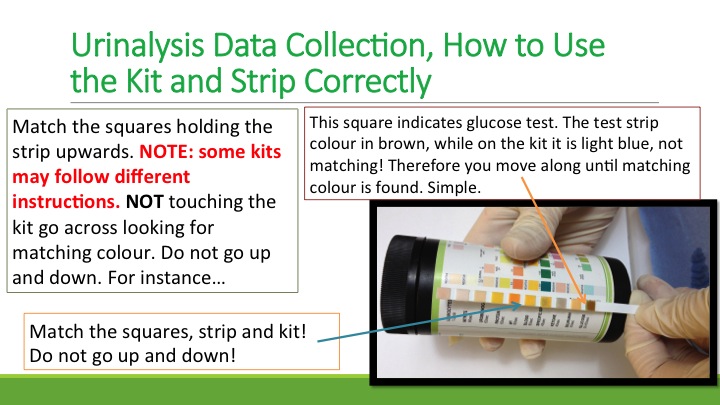 Urinalysis Data Collection - City Gate Training Centre