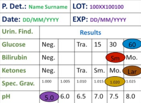 How to fill-in urinalysis chart: data - City Gate Training Centre